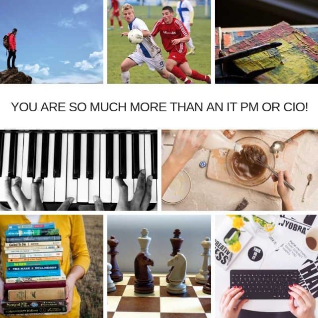 You are not an IT Project Manager. You are not a CIO. How you are so ...